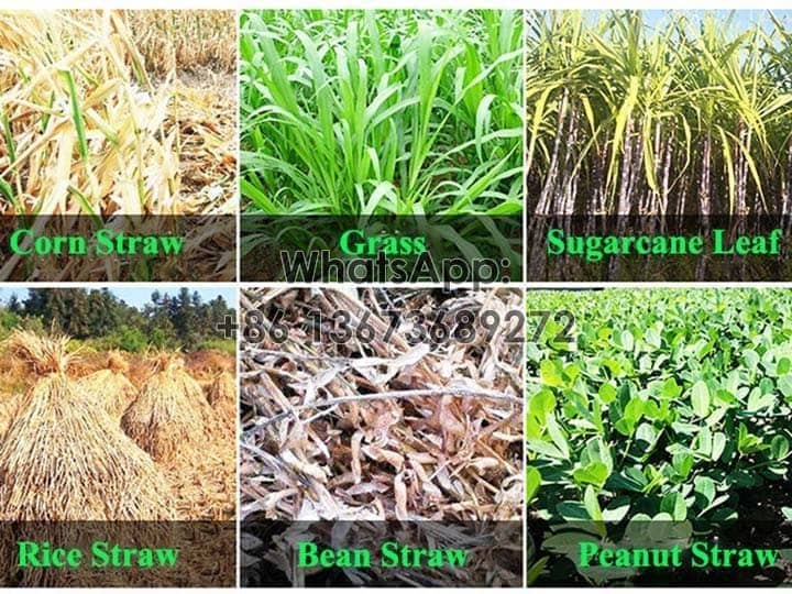 Mini Chaff Cutter | Small Straw Chopper for Cutting Dry and Wet Grass